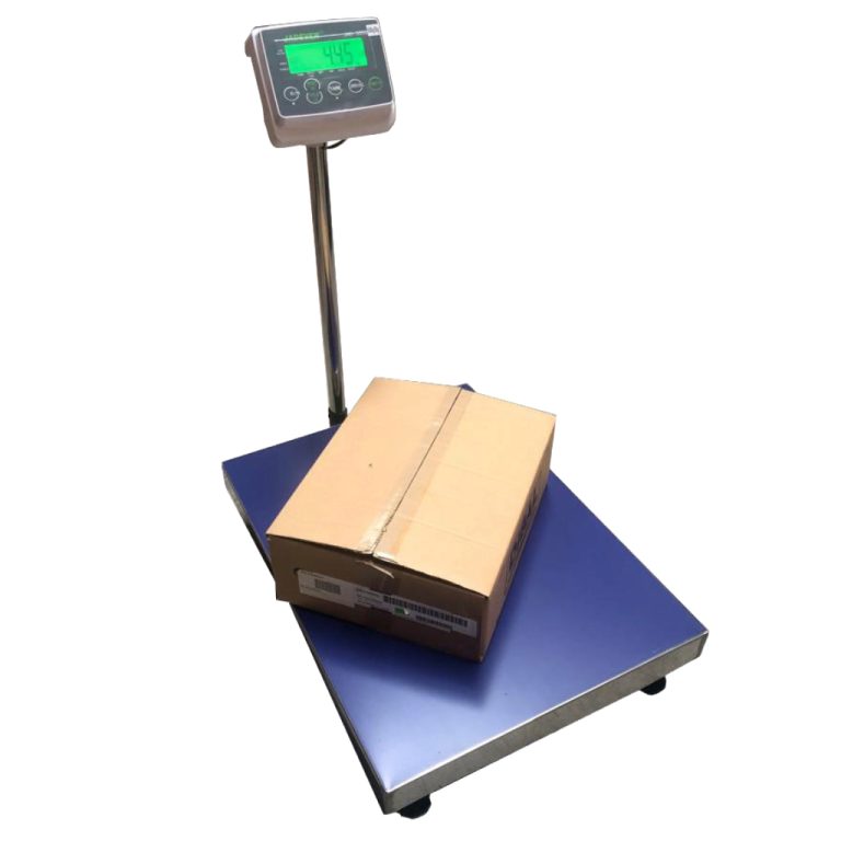 Jadever JWI-3000 (600kg) Floor Weighing Scales - Weighing Machines Services